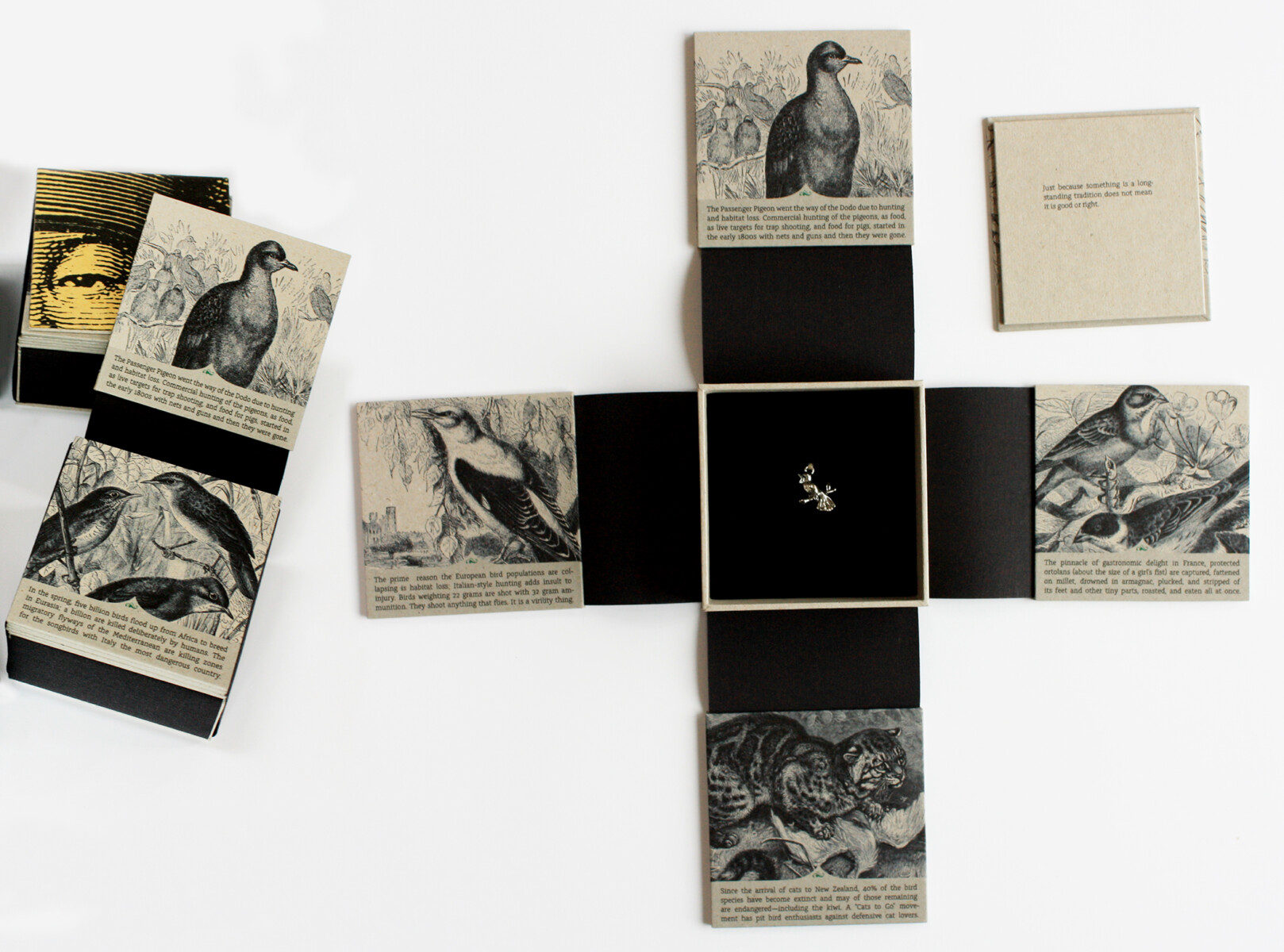 Elsi Vassdal Ellis- Panel Book with Box – Focus on Book Arts